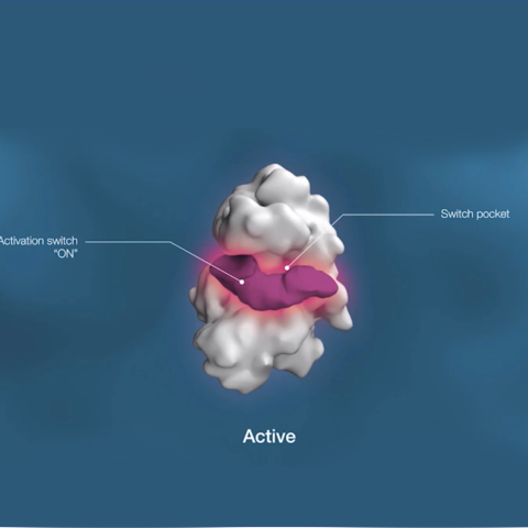 Switch Control Kinase Inhibitor Platform | Deciphera