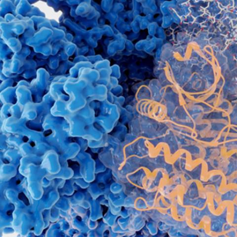 DCC-3009 | Deciphera