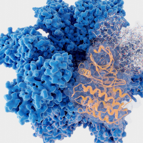 Deciphera - One Mission, Inspired by Patients: Defeat Cancer.